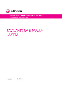 SAVILAHTI RV6 PAALULAATTA - Theseus