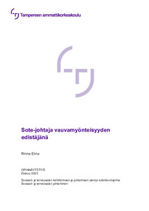 Sote-johtaja vauvamyönteisyyden edistäjänä - Theseus